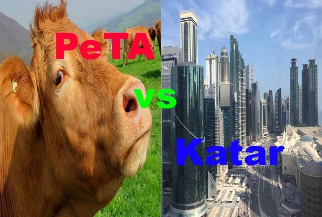PeTA vs. Katar - GERATI